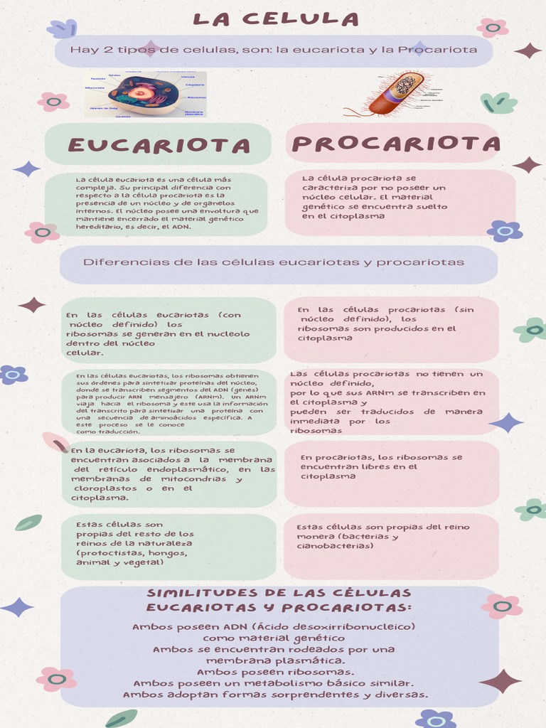Infografia de La Celula | PDF Infografia de La Celula | PDF
