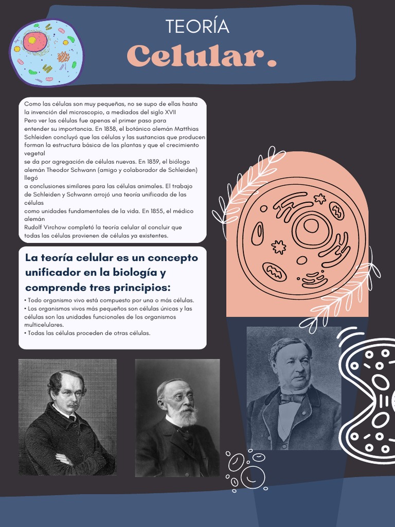 Teoría Celular | PDF