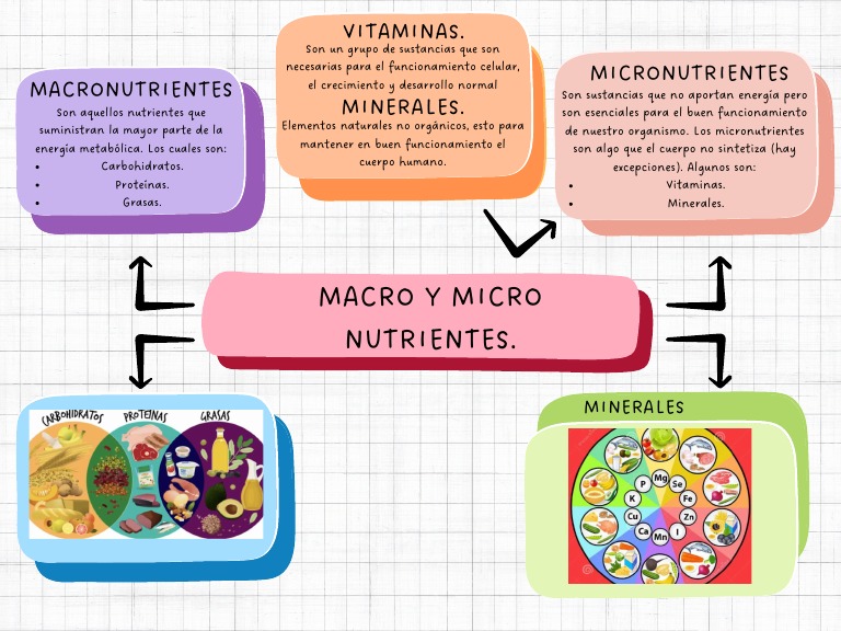 Macro y Micro Nutrientes. | PDF