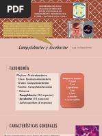 Glosario de Términos Epidemiológicos | PDF | Epidemiología | Población