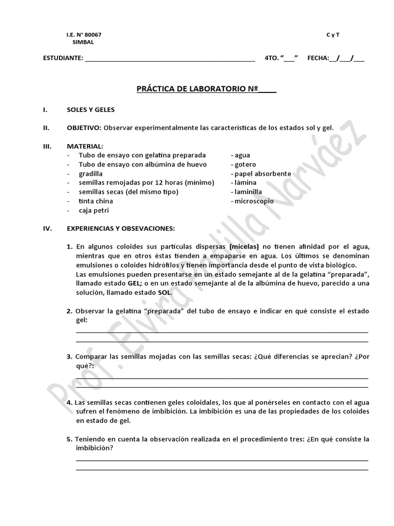 Práct. Lab. Soles y Geles | PDF | Coloide | Gel