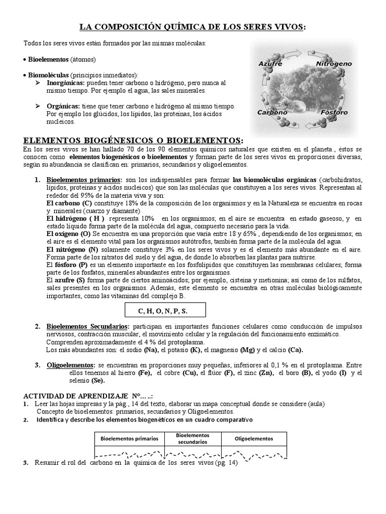 Composición Química de los Seres Vivos | PDF | Organismos | Biomoléculas