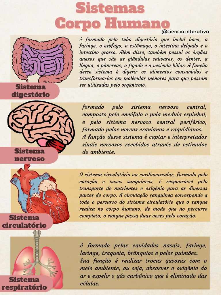 Sistemas Do Corpo Humano Pdf
