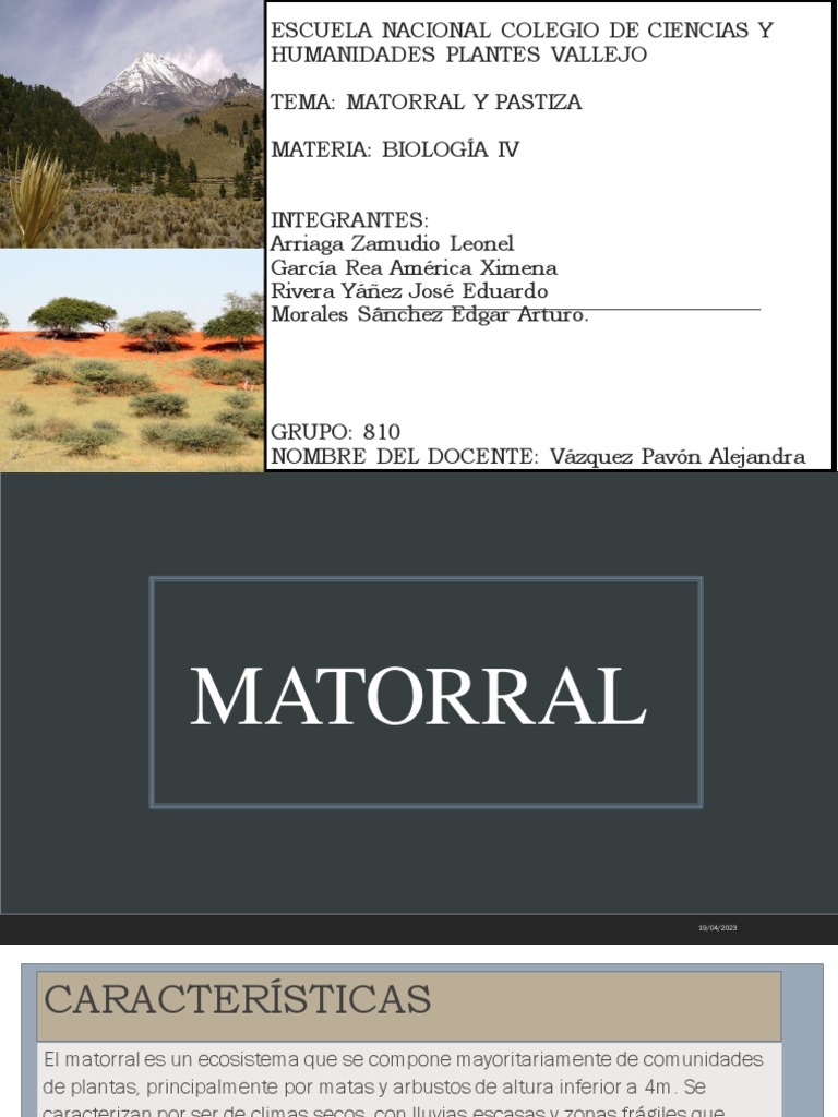 Matorrales y Pastizales: Características y Distribución | PDF | Pradera | Ecosistema
