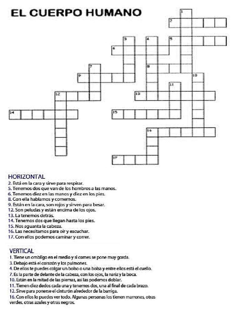 Crucigrama Cuerpo Humano | PDF