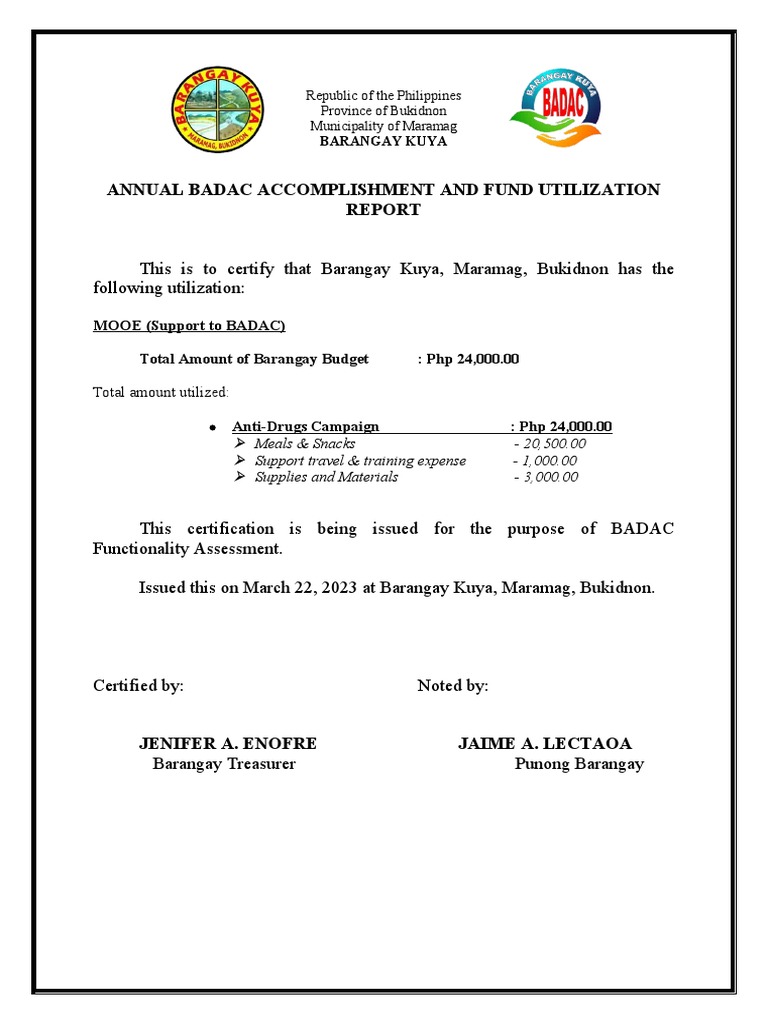 Fund Utilization Pdf Economies