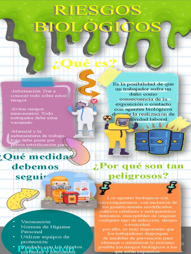 Infografia Riesgos Biologicos | PDF