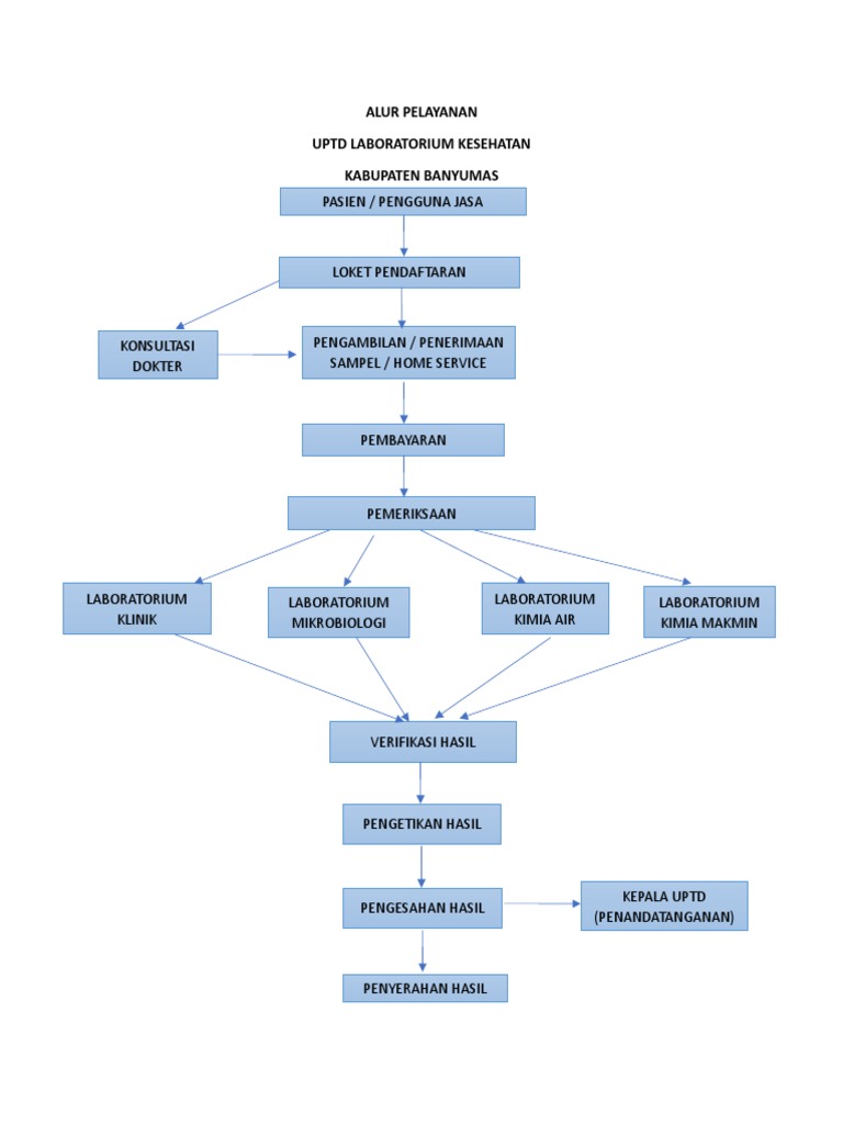 Alur Pelayanan 2023 | PDF