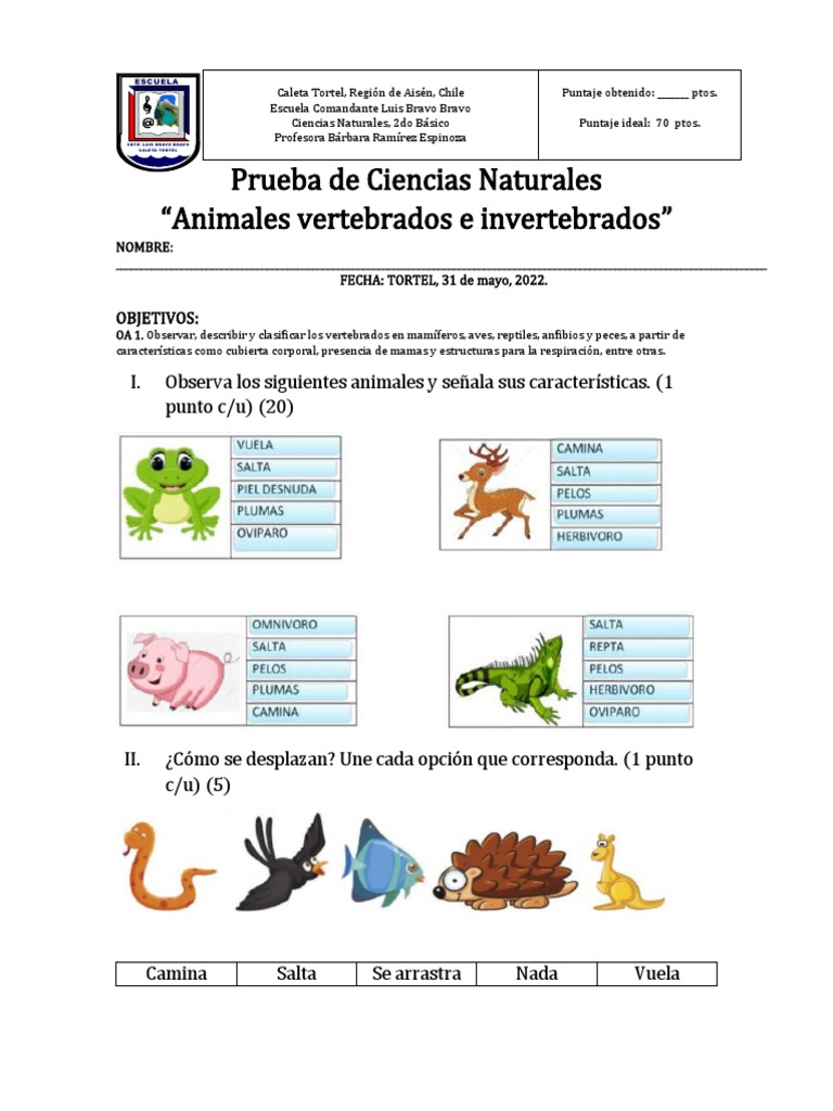 Animales Vertebrados e Invertebrados | PDF | Vertebrados | Taxa