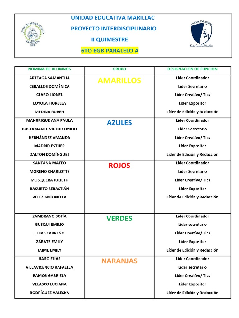 6to A Proyecto Interdisc. Grupos de Trabajo | PDF