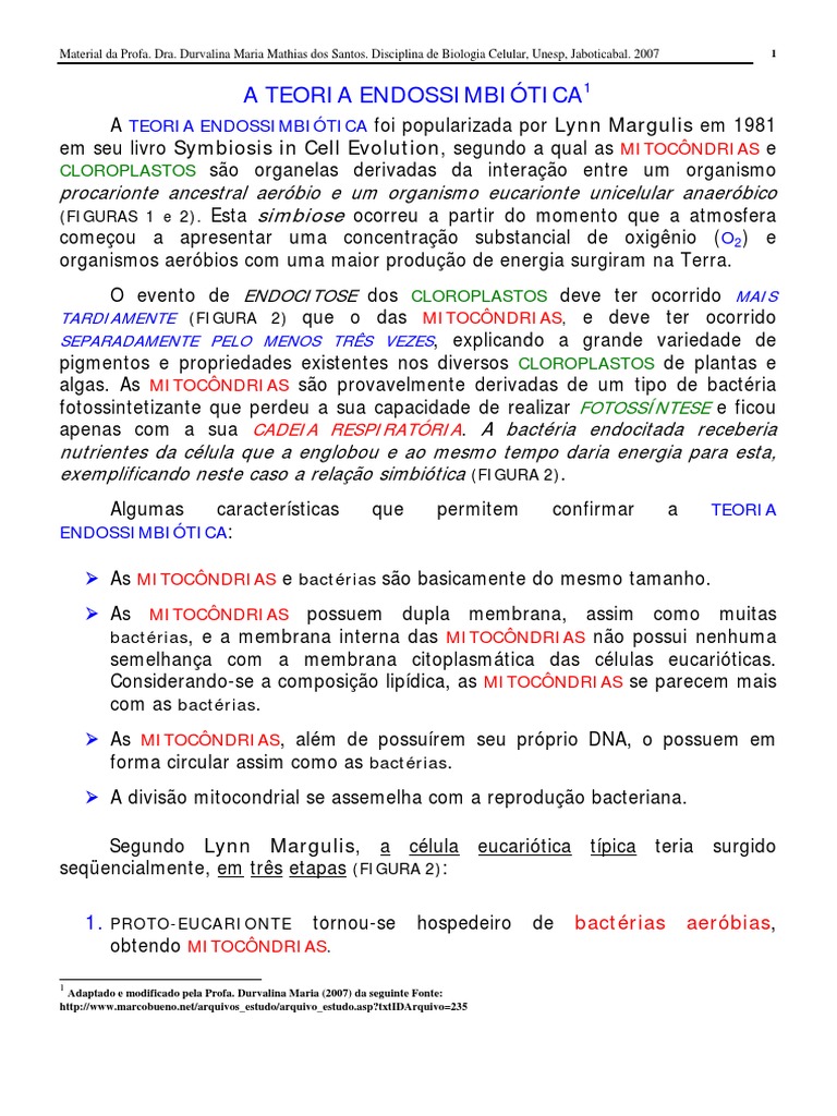 Teoria Endossimbiose | PDF | Mitocôndria | Bactérias