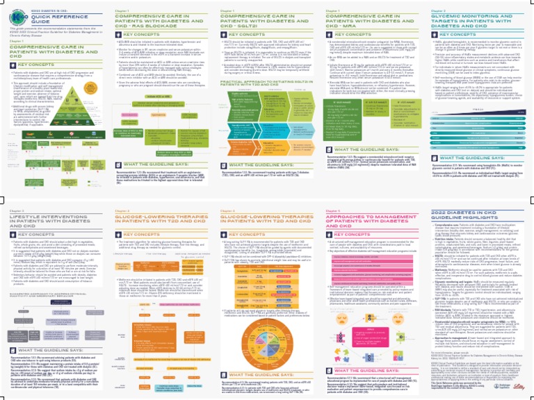 KDIGO 2022 Diabetes Guideline Quick Reference Guide | PDF | Chronic ...