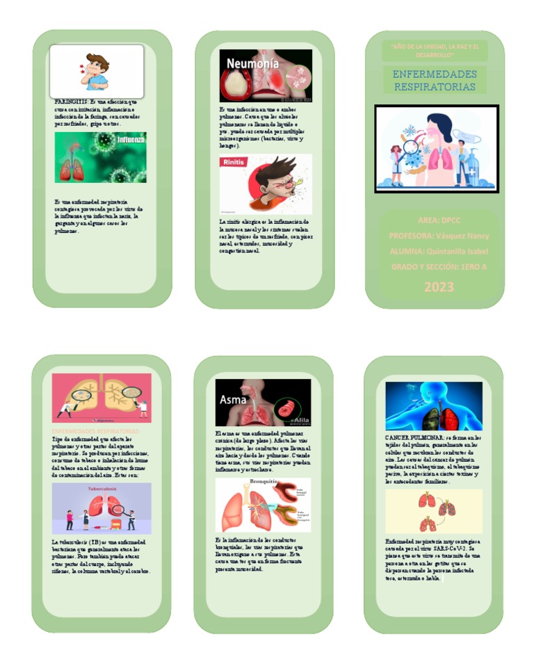 Triptico Isa | PDF | Resfriado comun | Pulmón