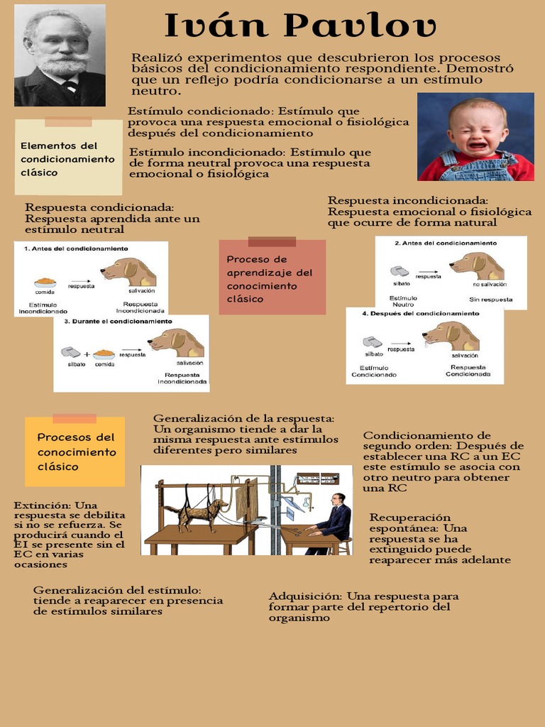 Infografía de Pavlov | PDF | Cognición | Ciencia cognitiva