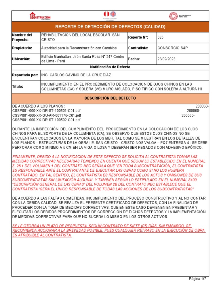 Informe de Notificación de Defectos | PDF | Derecho