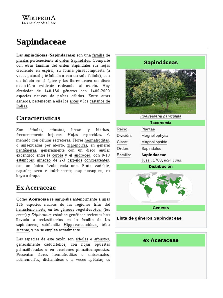 Características de las Sapindáceas | PDF | Plantas | Botánica