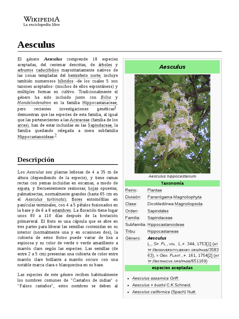 Aesculus | PDF | Plantas | Arboles