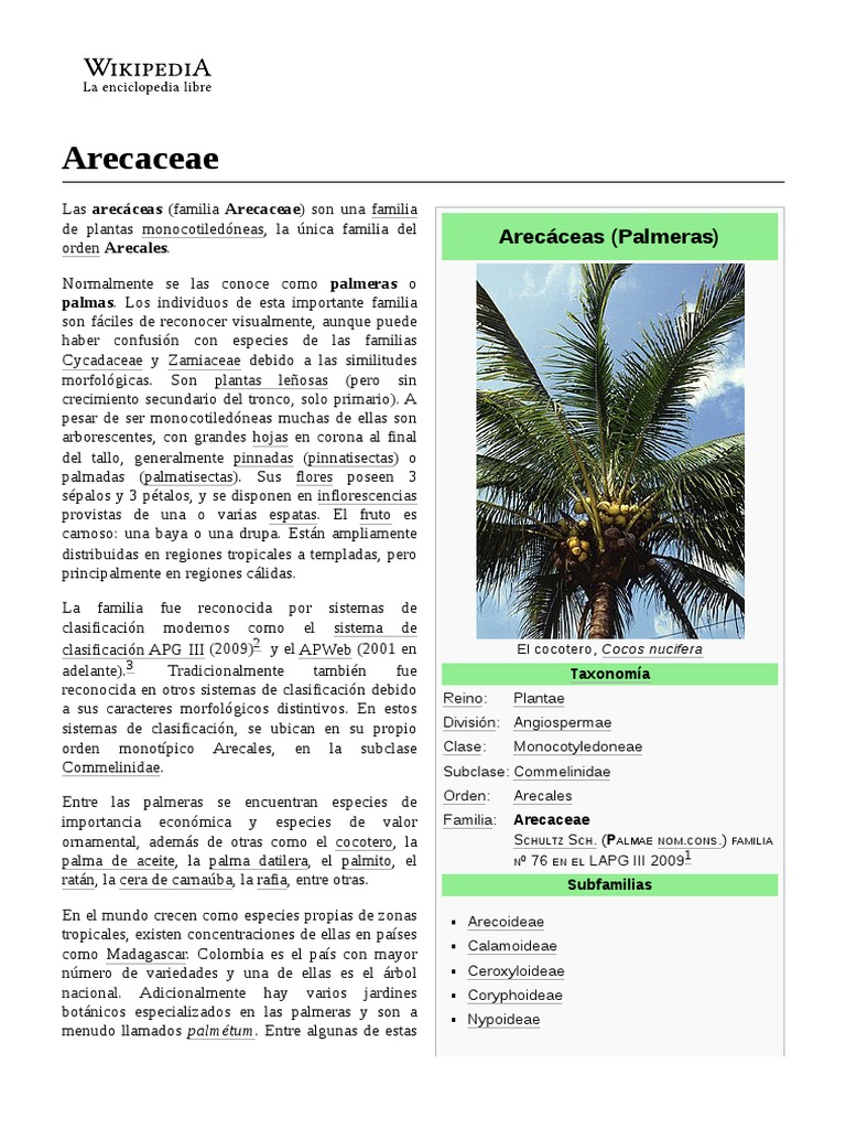 Arecaceae | PDF | Arecaceae | Plantas