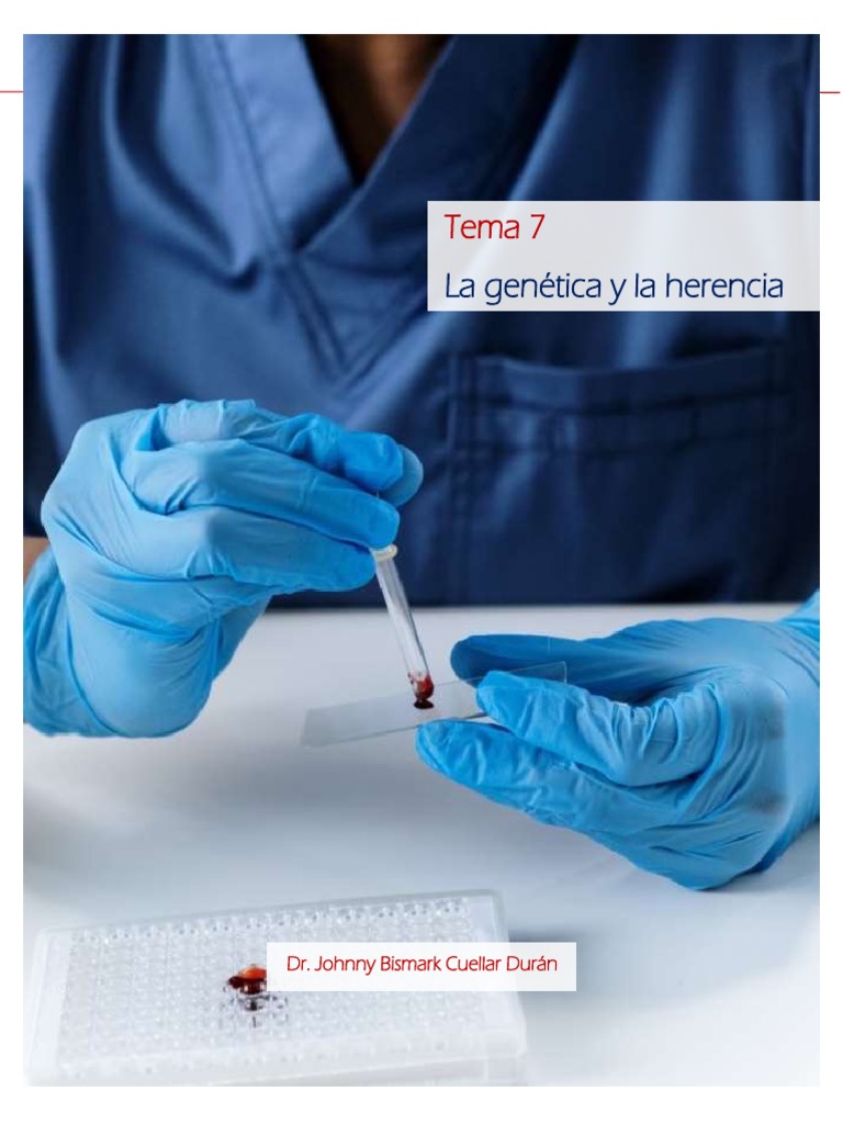 Tema 7 La Genética y La Herencia | PDF | Herencia | Sexo