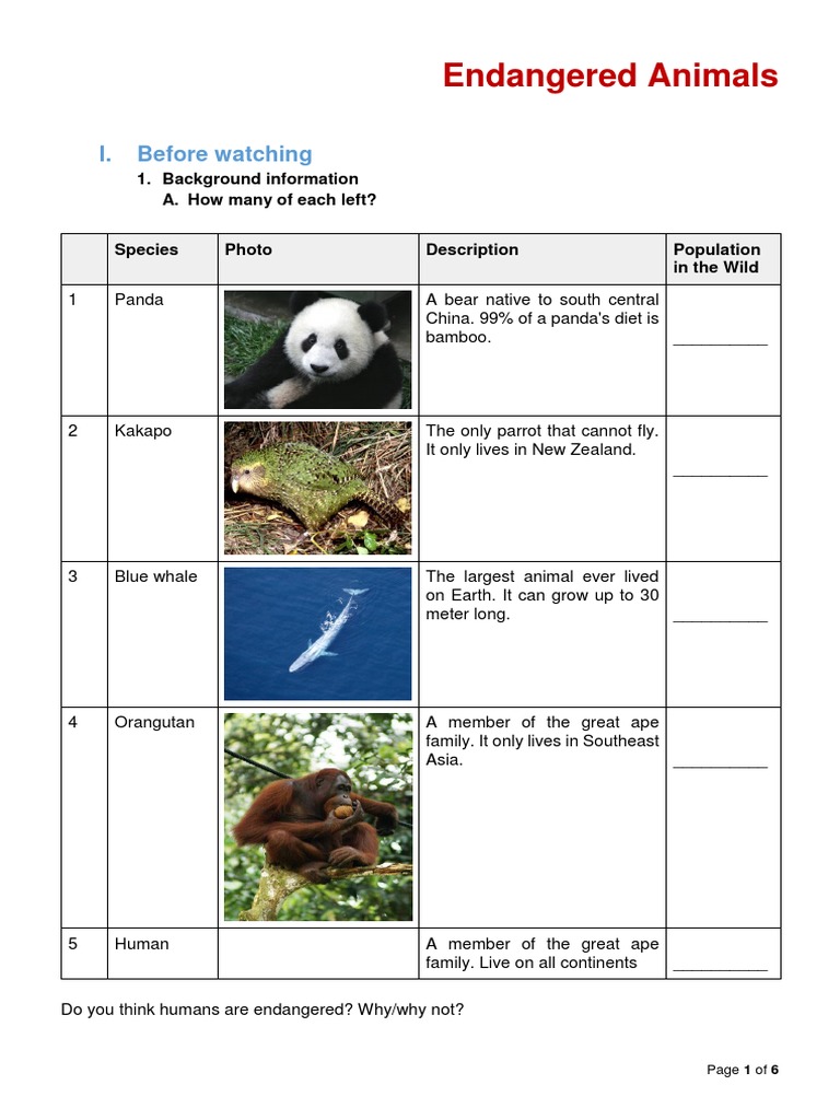 Endangered Animals - To Be Shared | PDF | Endangered Species | Zoo
