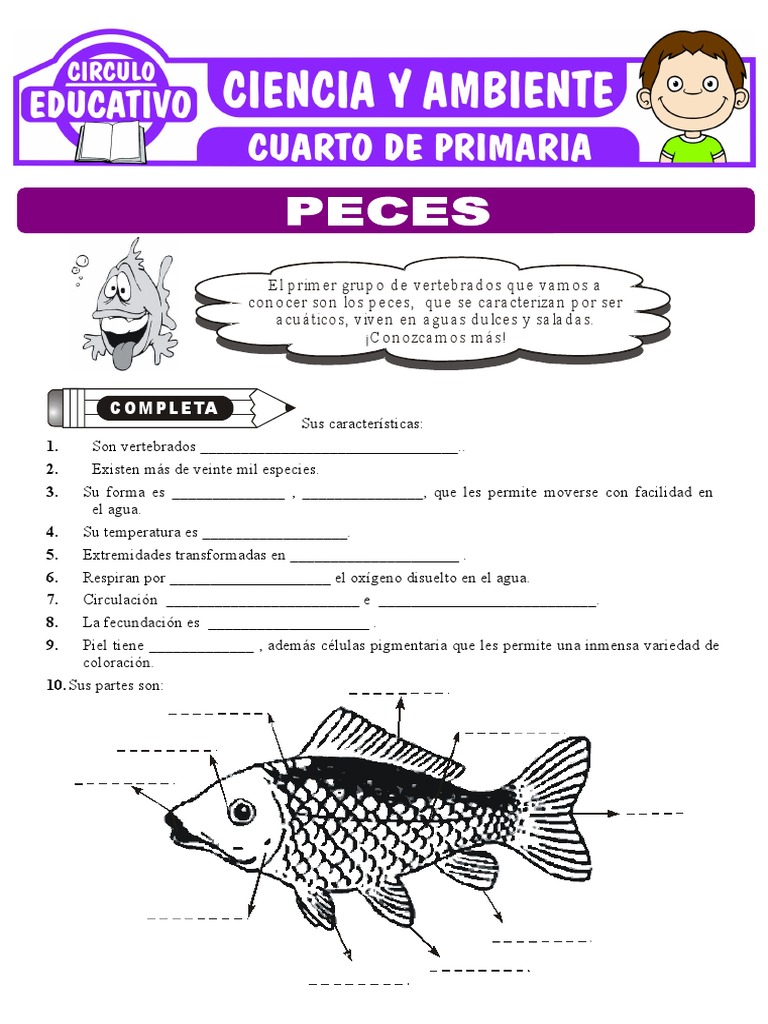 Peces para Cuarto de Primaria | PDF | Pescado | Vertebrados