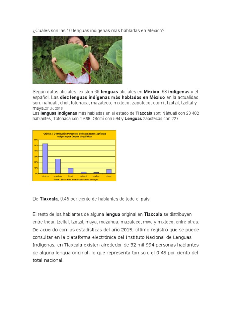 Cuáles Son Las 10 Lenguas Indigenas Más | PDF