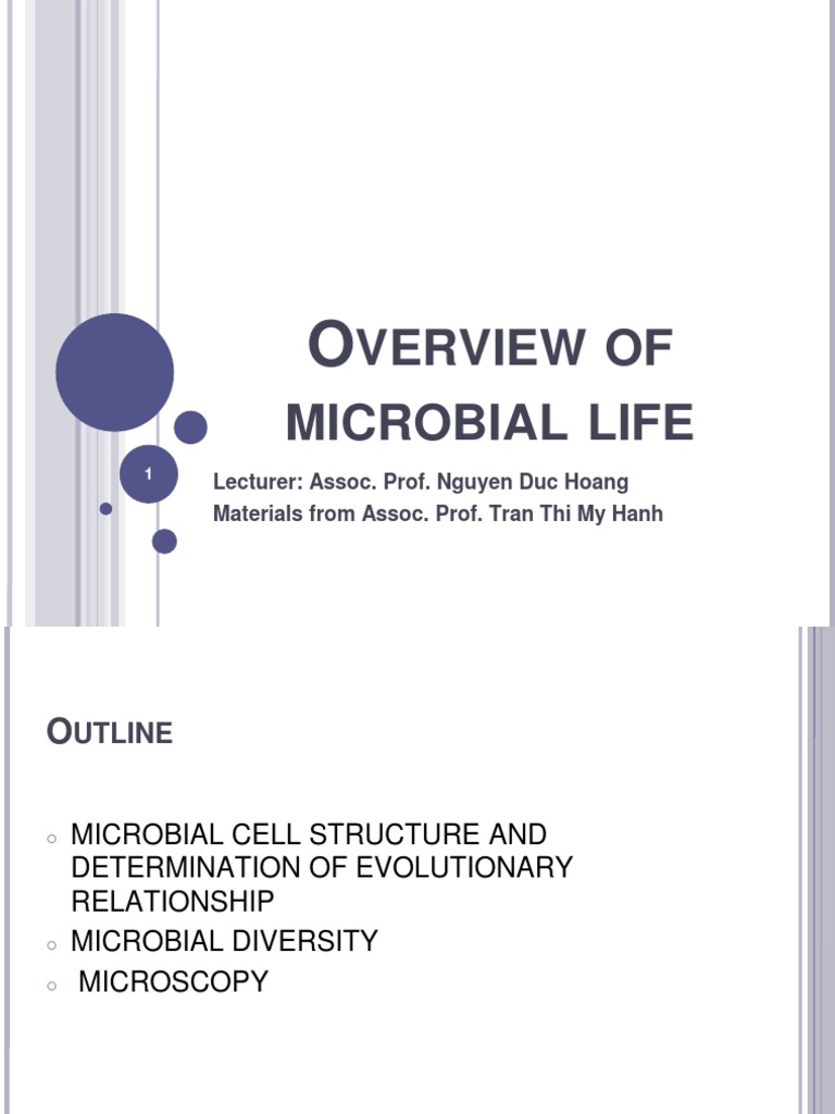 01 Overview of Microbial Life | PDF | Archaea | Virus