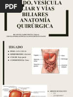 Técnicas de Cecostomía y Colostomía | PDF | Intestino grueso | Abdomen