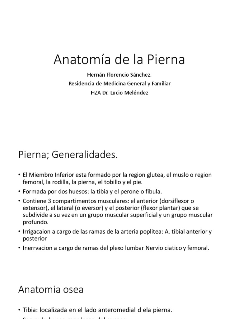 Pierna | PDF | Pie | Extremidades (anatomía)
