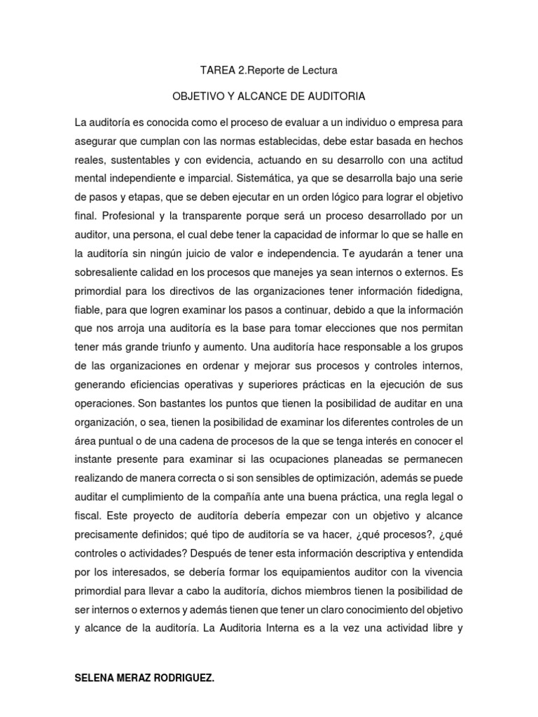 TAREA2 | PDF | Auditoría | Business