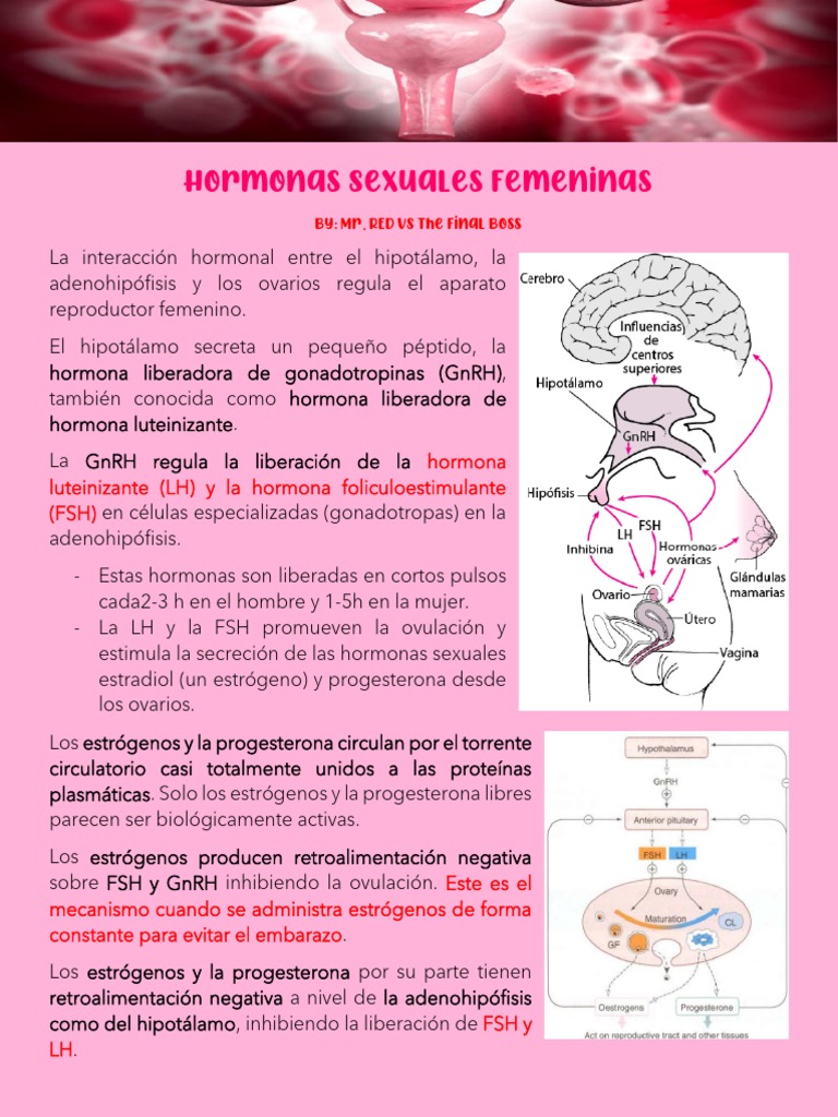 Hormonas Sexuales Femeninas | PDF | Ciclo menstrual | Hormona luteinizante