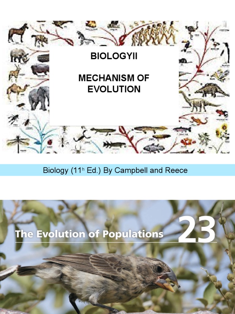 23 - Evolution of Pop | PDF | Mutation | Evolution