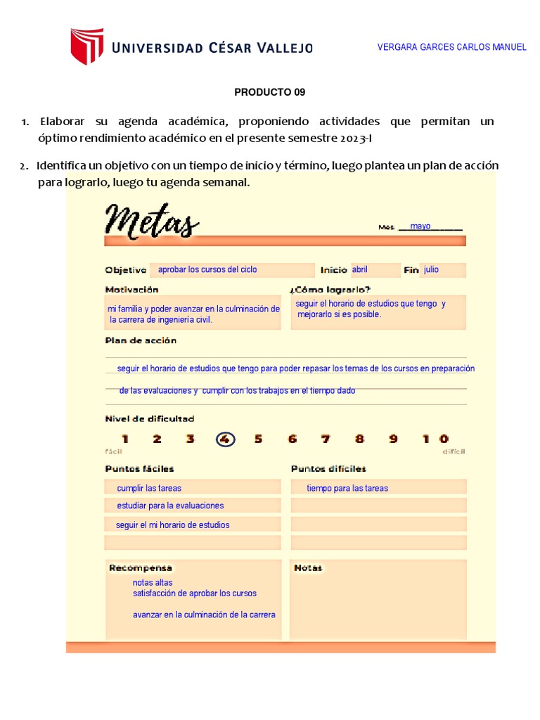 Producto N°9 - Personal | PDF