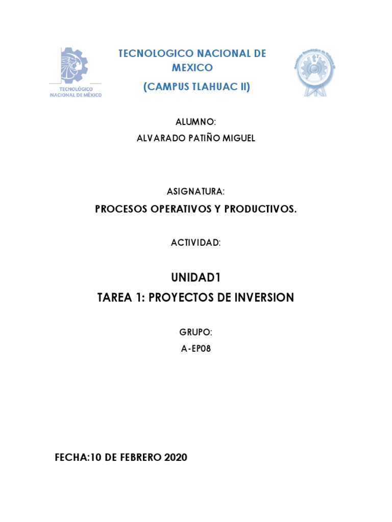 PROYECTO DE INVERSION Ejemplos | PDF | Inversiones | Diseño