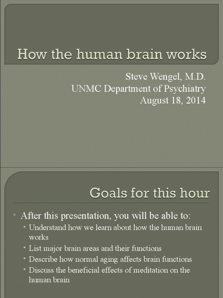 How Human Brain Works | PDF | Brain | Human Brain