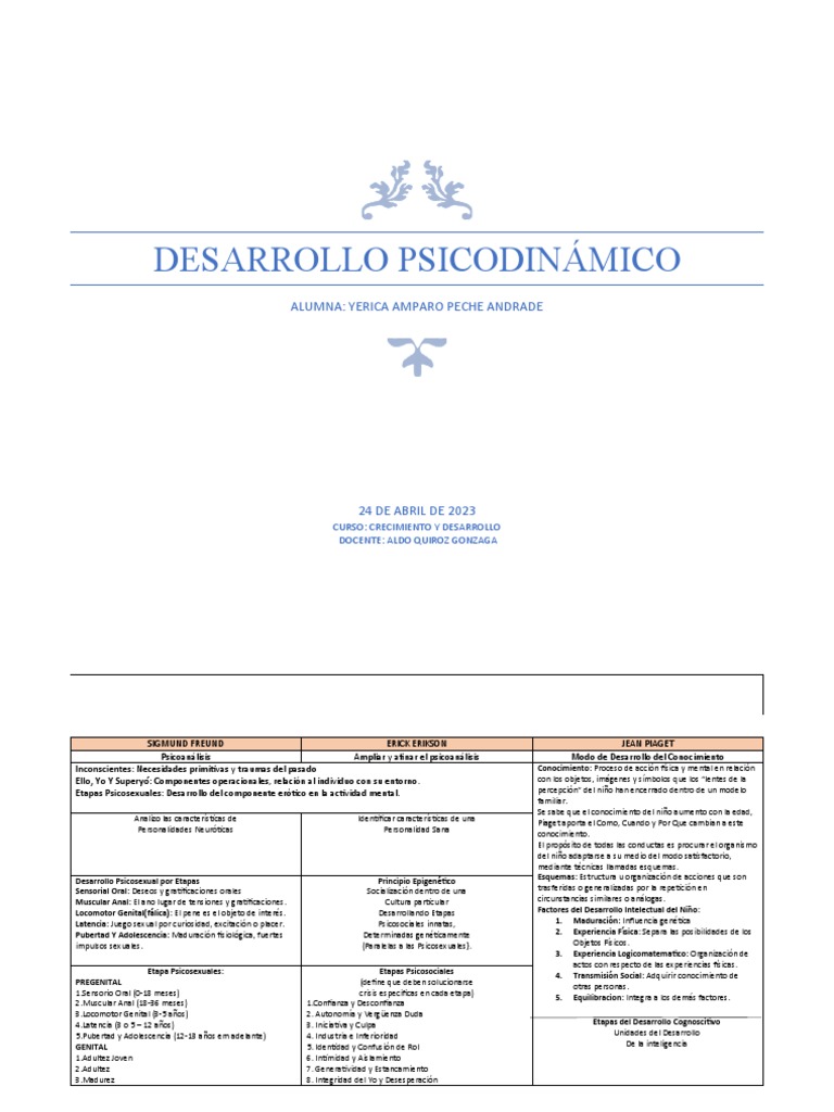 Desarrollo Psicodinámico | PDF | Ciencia cognitiva | Conceptos psicologicos