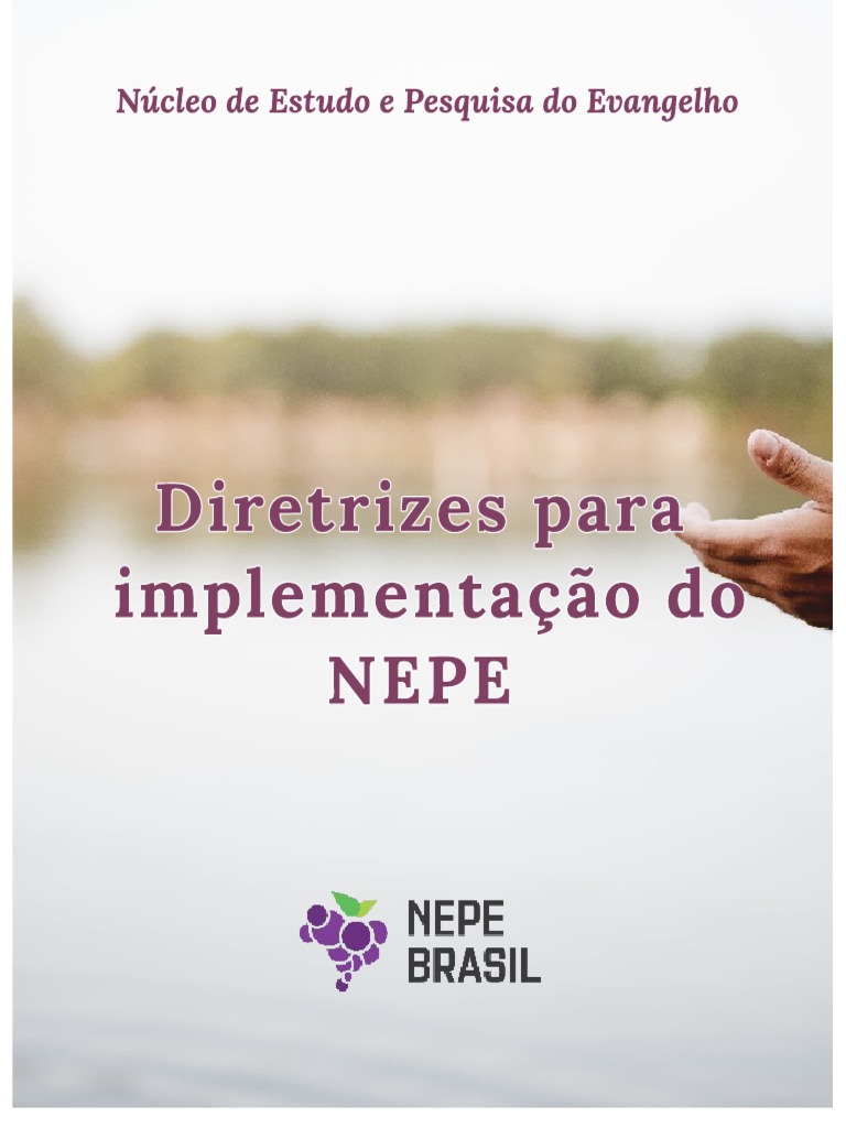 Diretrizes para Implementação Do NEPE (2023) | PDF