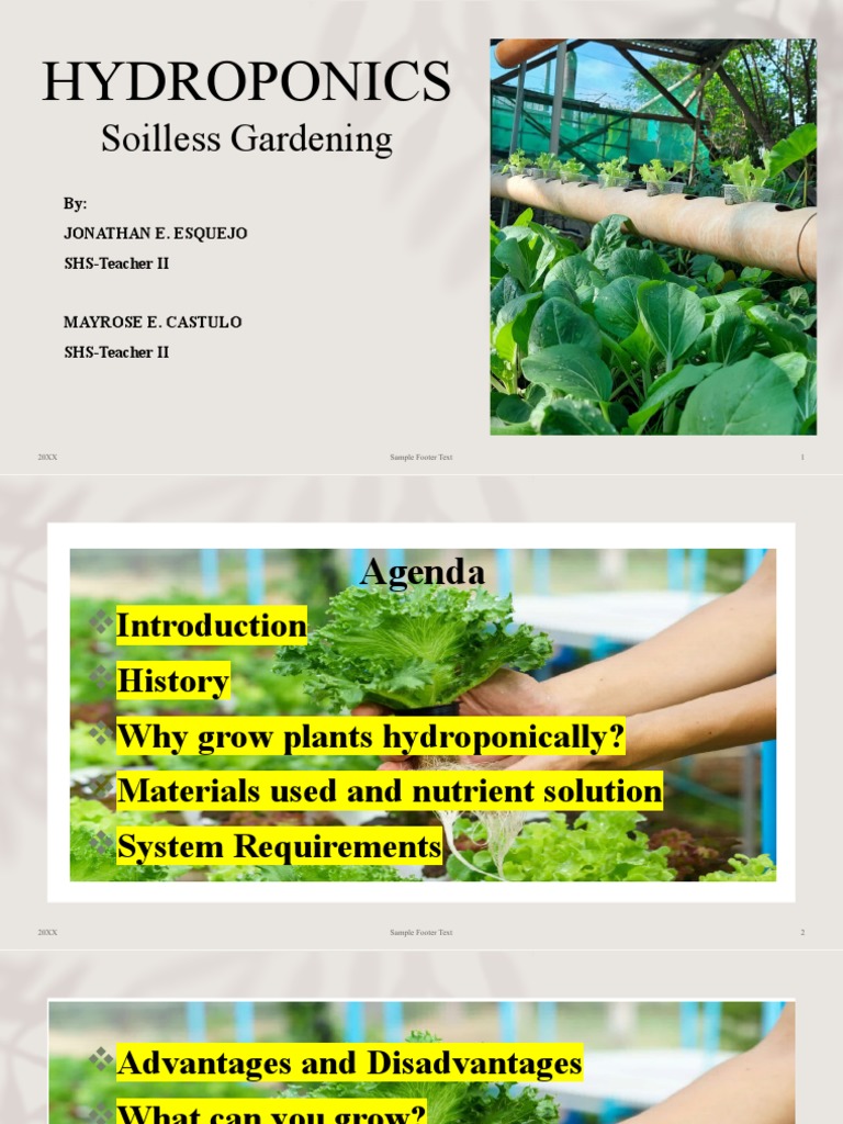 Hydroponics | Download Free PDF | Hydroponics | Plant Nutrition