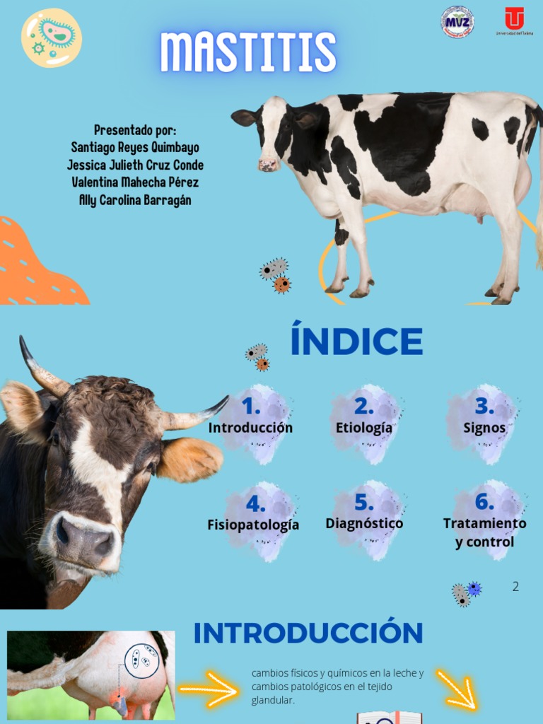 Mastitis Bovina | PDF | Penicilina | Bacteriófago