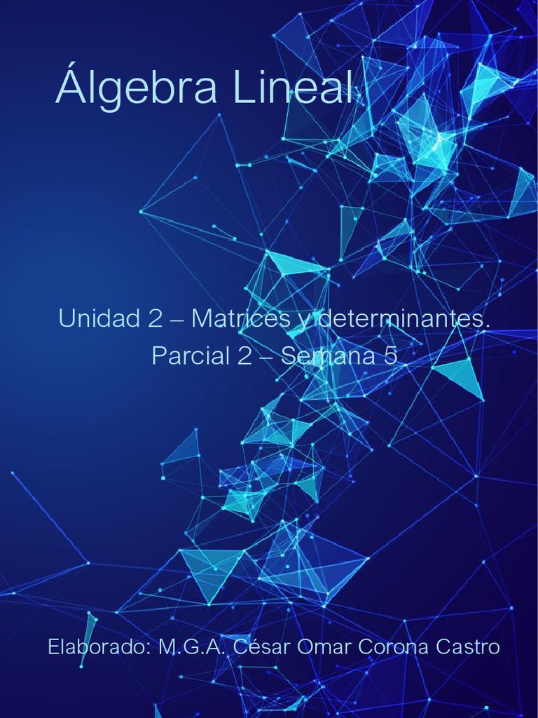 Álgebra Lineal: Matrices y Determinantes | PDF | Matriz (Matemáticas ...