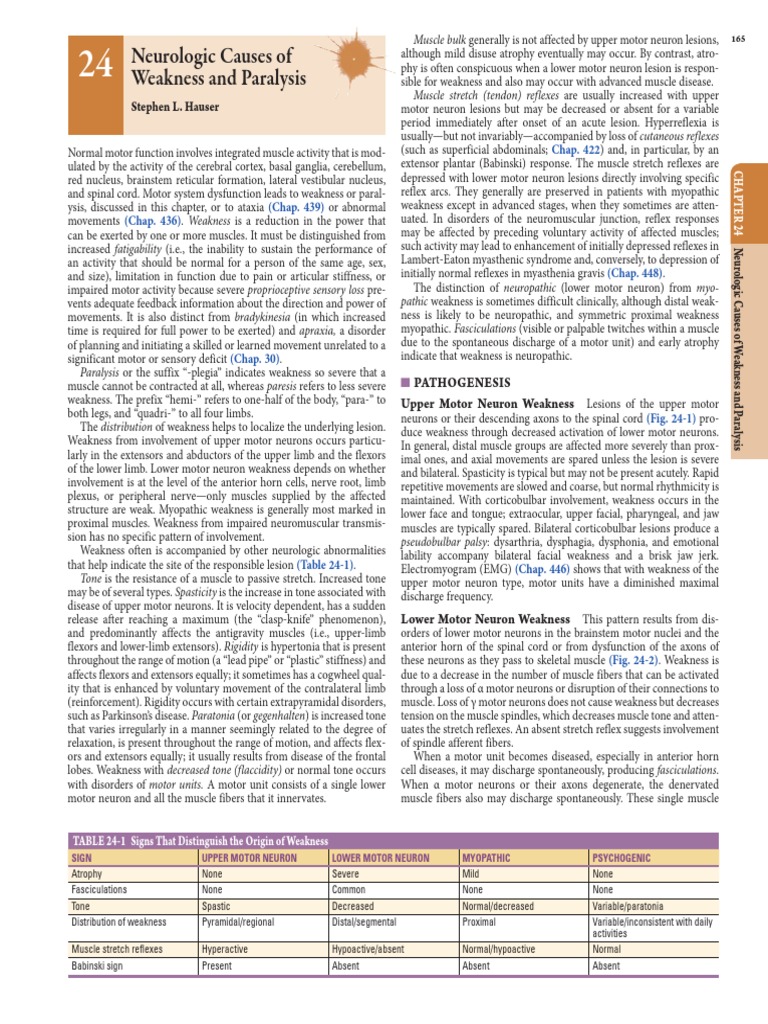 Muscles and Weakness | PDF | Motor Neuron | Weakness