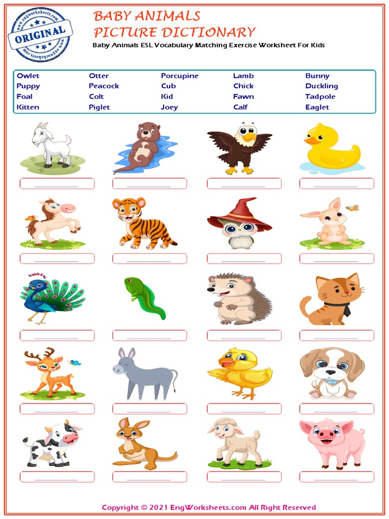Baby Animals Esl Vocabulary Matching Exercise Worksheet For Kids 1944 | PDF