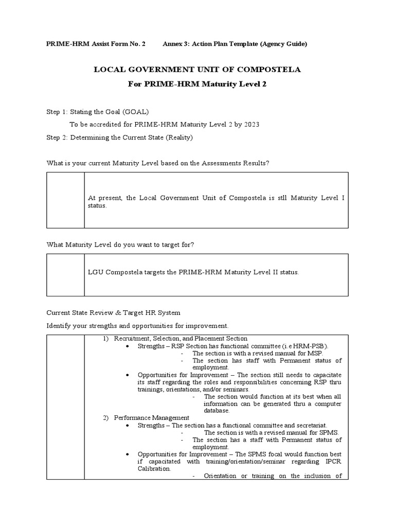 Prime-Hrmo Action Plan Template | PDF | Premenstrual Syndrome | Human ...