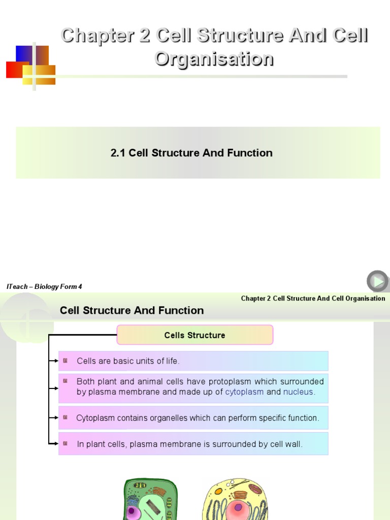 Chapter 2 Cell Structure and Cell Organisation | PDF | Endoplasmic ...