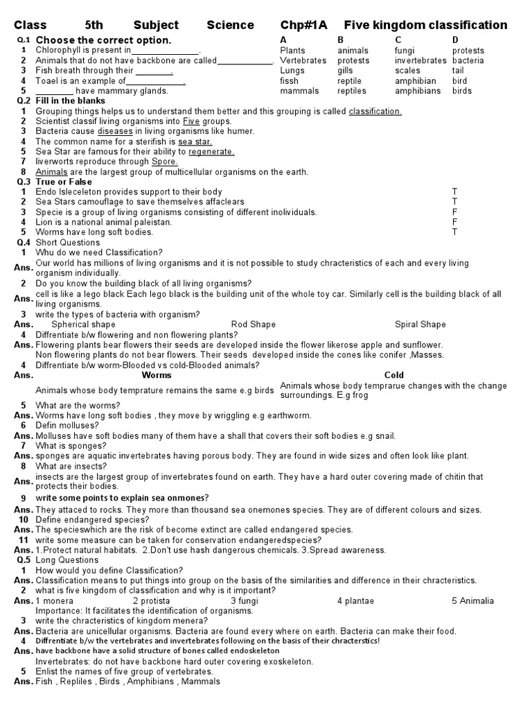 5th Class Science | PDF | Plant Reproduction | Pollination