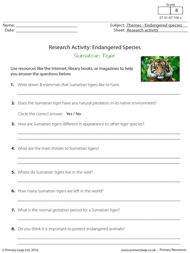 Sumatran Tiger Research Writing C7 | PDF