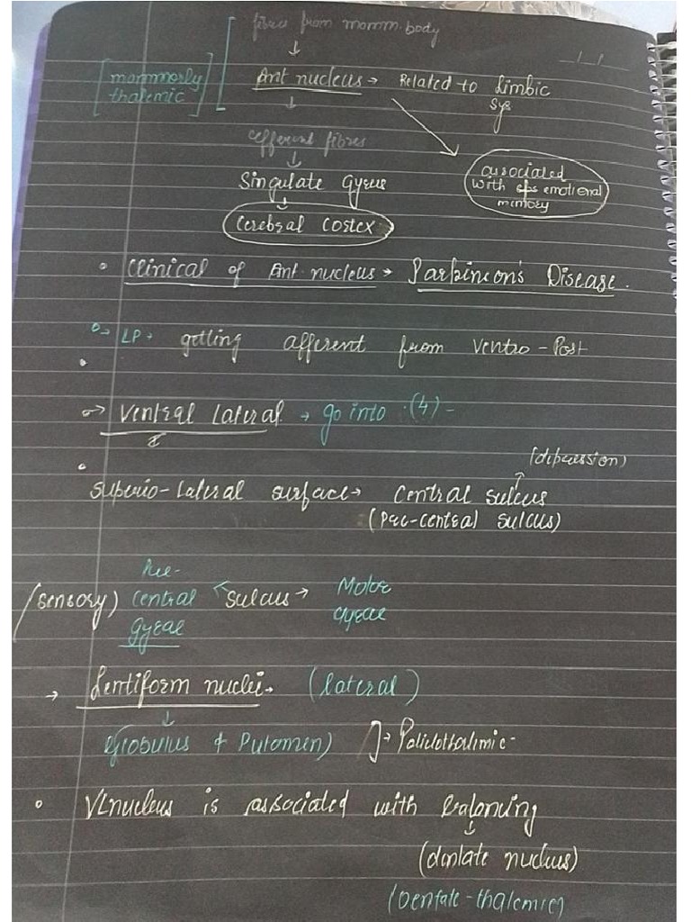 Cerebellum Notes | PDF