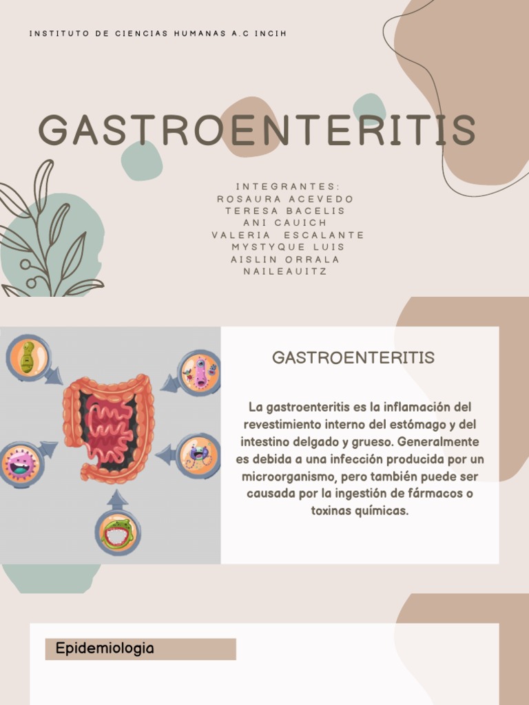 Gastroenteritis: Causas y Tratamiento | PDF