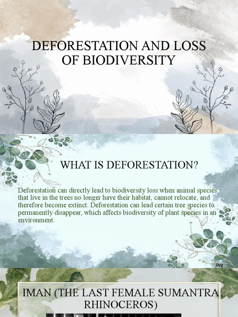 DEFORESTATION AND LOSS OF BIODIVERSITY (Autosaved) | PDF | Technology ...