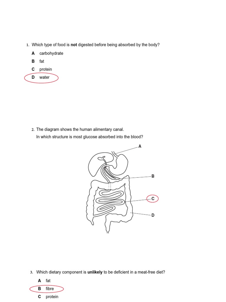 Human Nutrition Classified Past Paper 2 Solved IGCSE Biology 0610 GCSE ... Human Nutrition Classified Past Paper 2 Solved IGCSE Biology 0610 GCSE ...